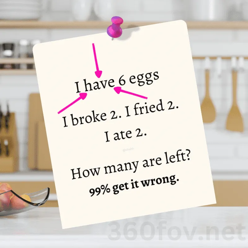 360fov.net - Official @360fov Blog